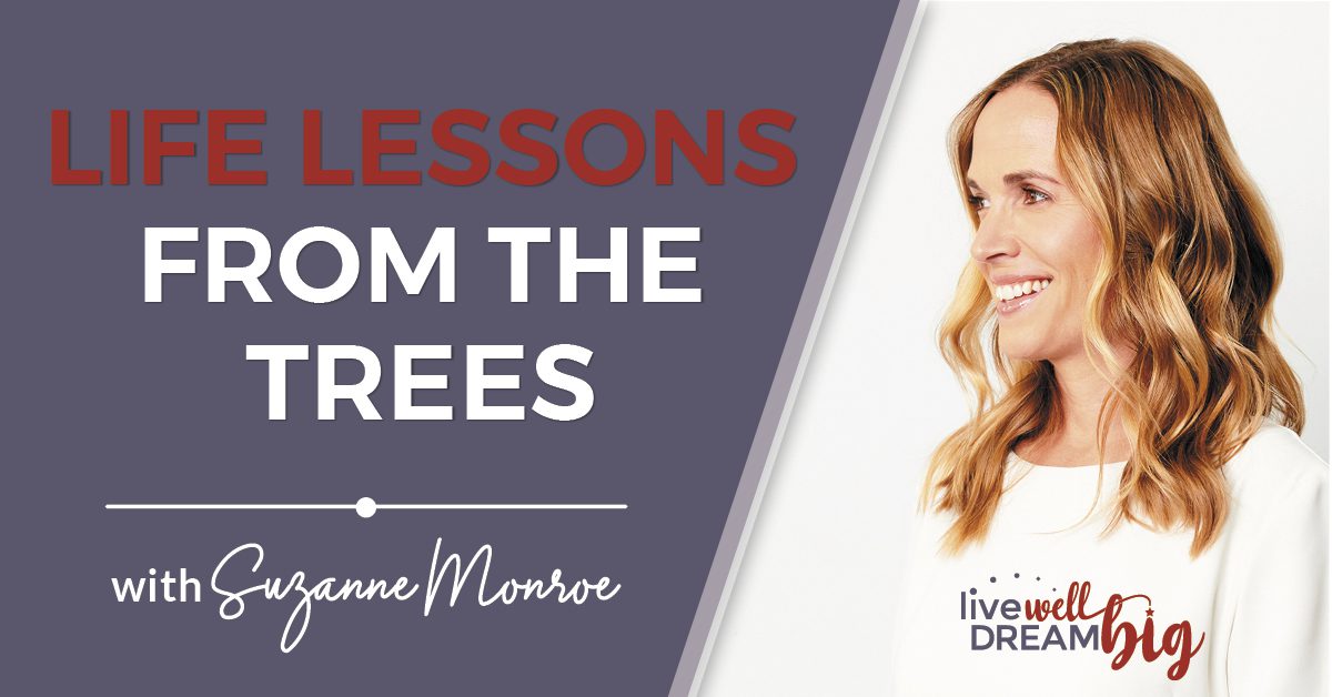 #040 – Life Lessons Learned From Trees | IAWP Holistic Wellness Coach